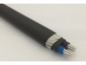 Concentric Cable | Power Cable Products | Tong-Da Cable